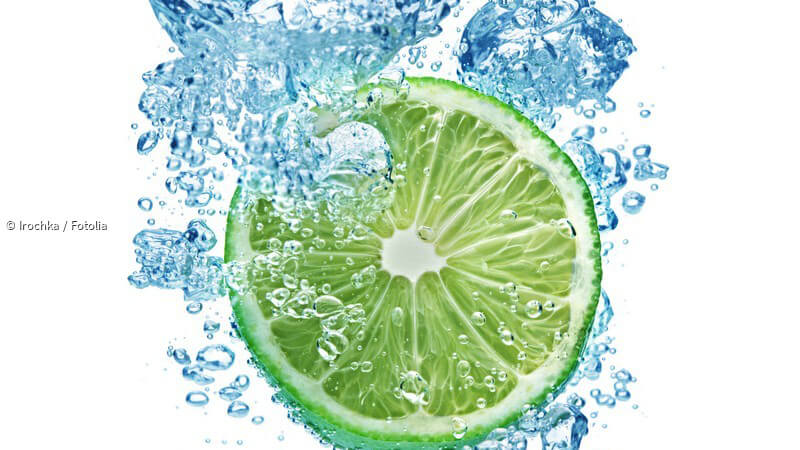 ᐅ Was man über die Limette wissen sollte