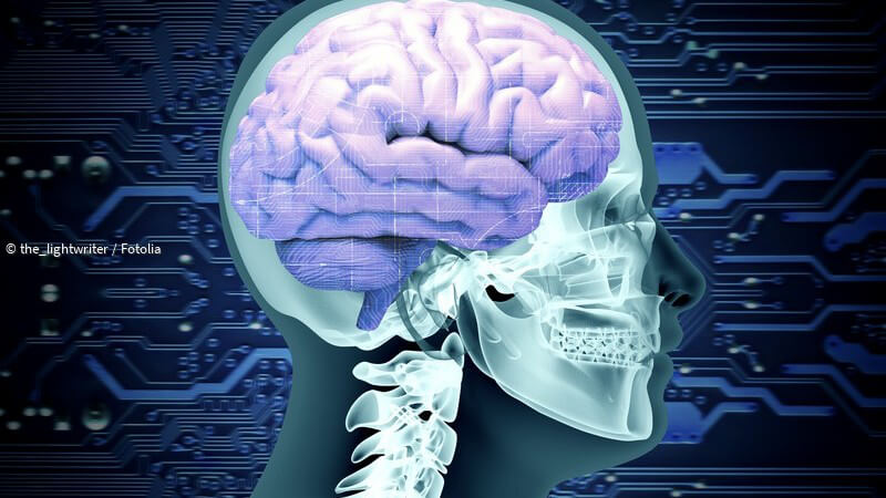ᐅ Blick ins Gehirn: Hirnscans zeigen, wann ein Jugendlicher zur ...