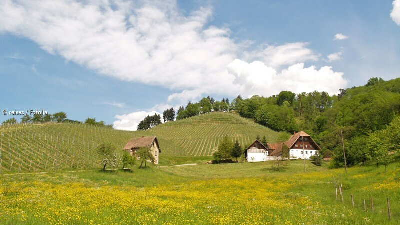 ᐅ "All-Inclusive" für Touristen mit der "Hochschwarzwald-Card"