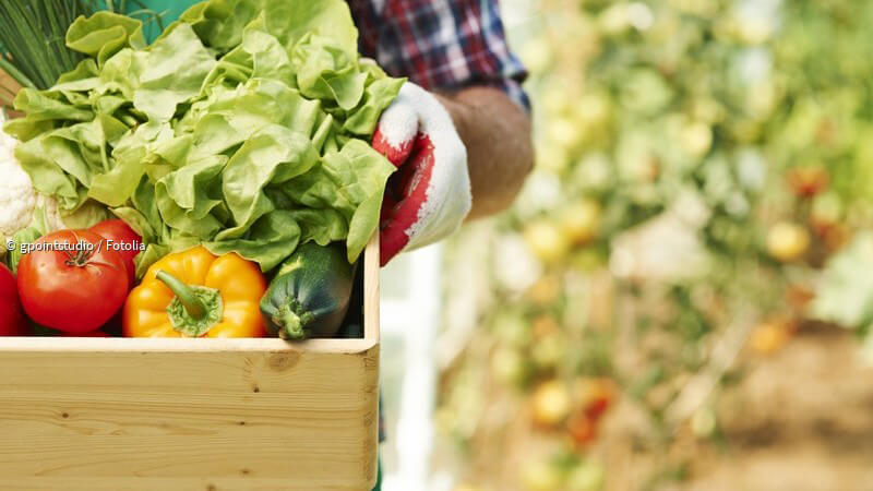 ᐅ Obst und Gemüse richtig lagern - so bleiben Lebensmittel am längsten ...