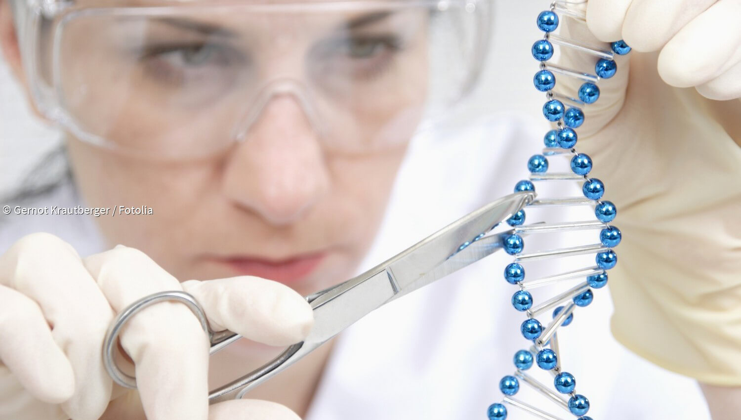 Kurzmeldungen zum Thema Genetik - paradisi.de