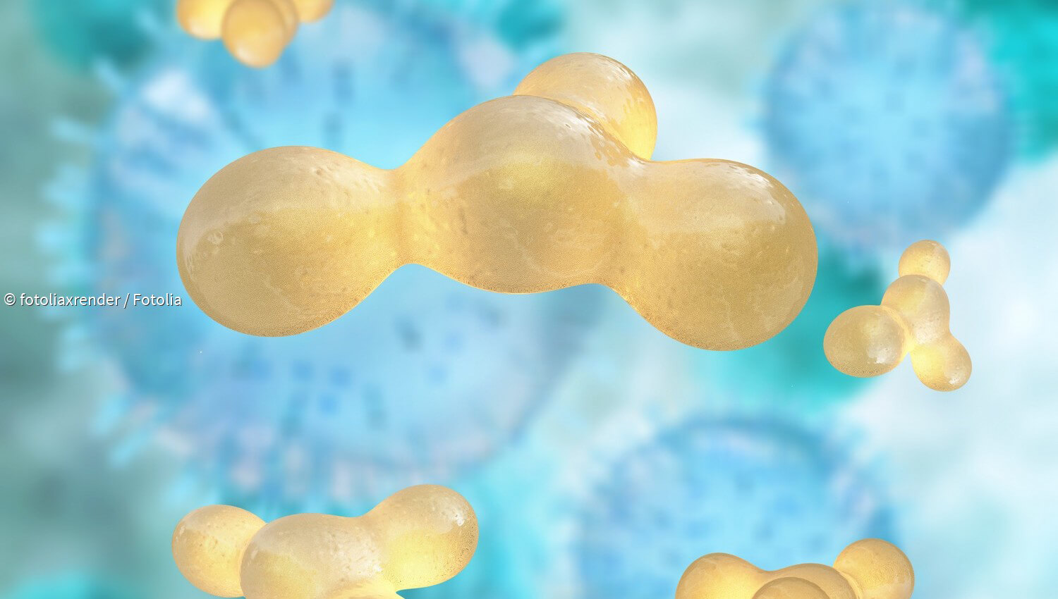 Kurzmeldungen zum Thema Gewebe - paradisi.de