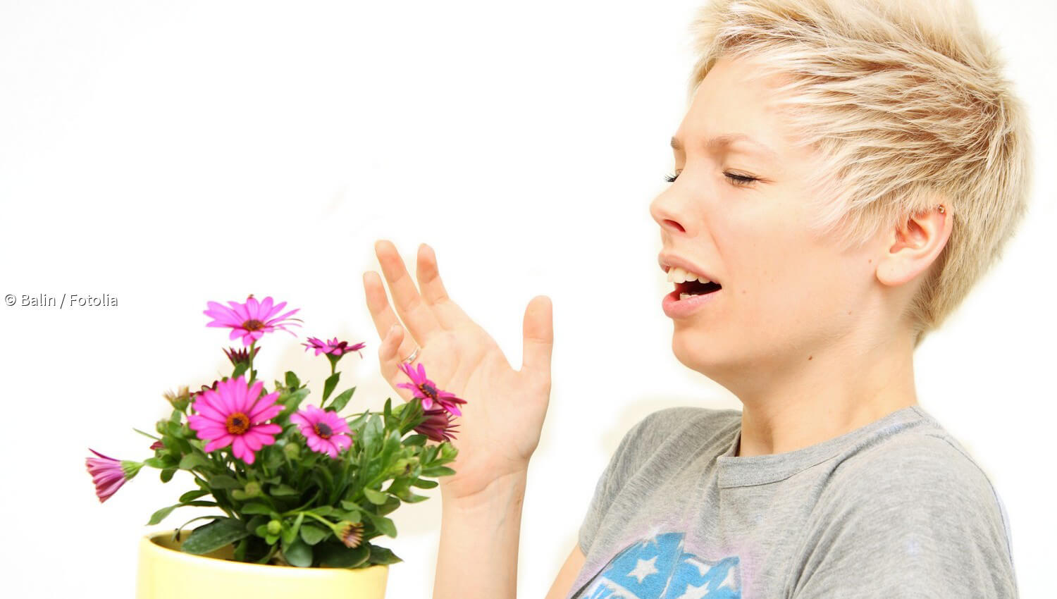 Kurzmeldungen zum Thema Niesen - paradisi.de