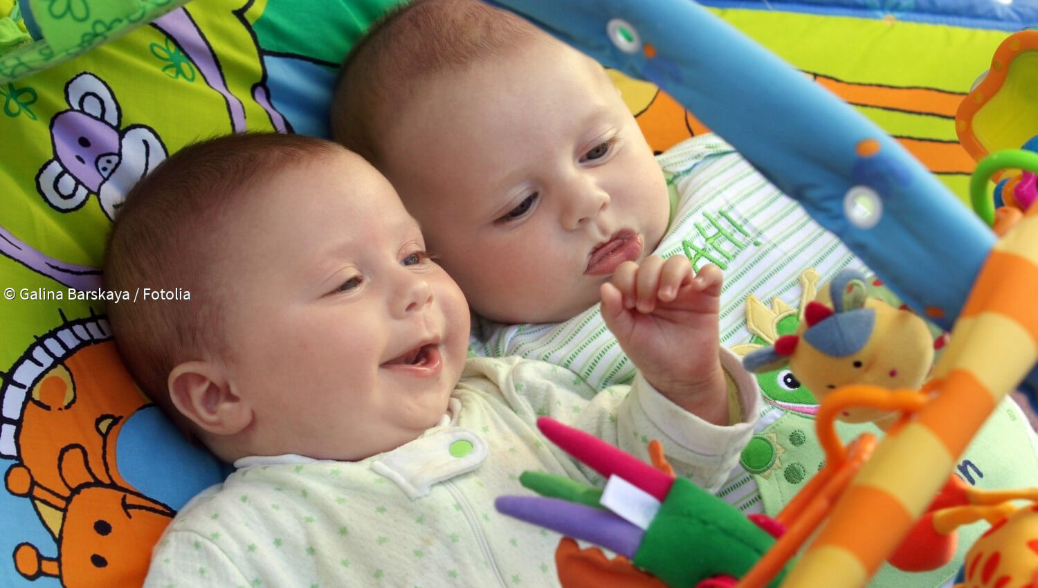 Kurzmeldungen zum Thema Wippe - paradisi.de